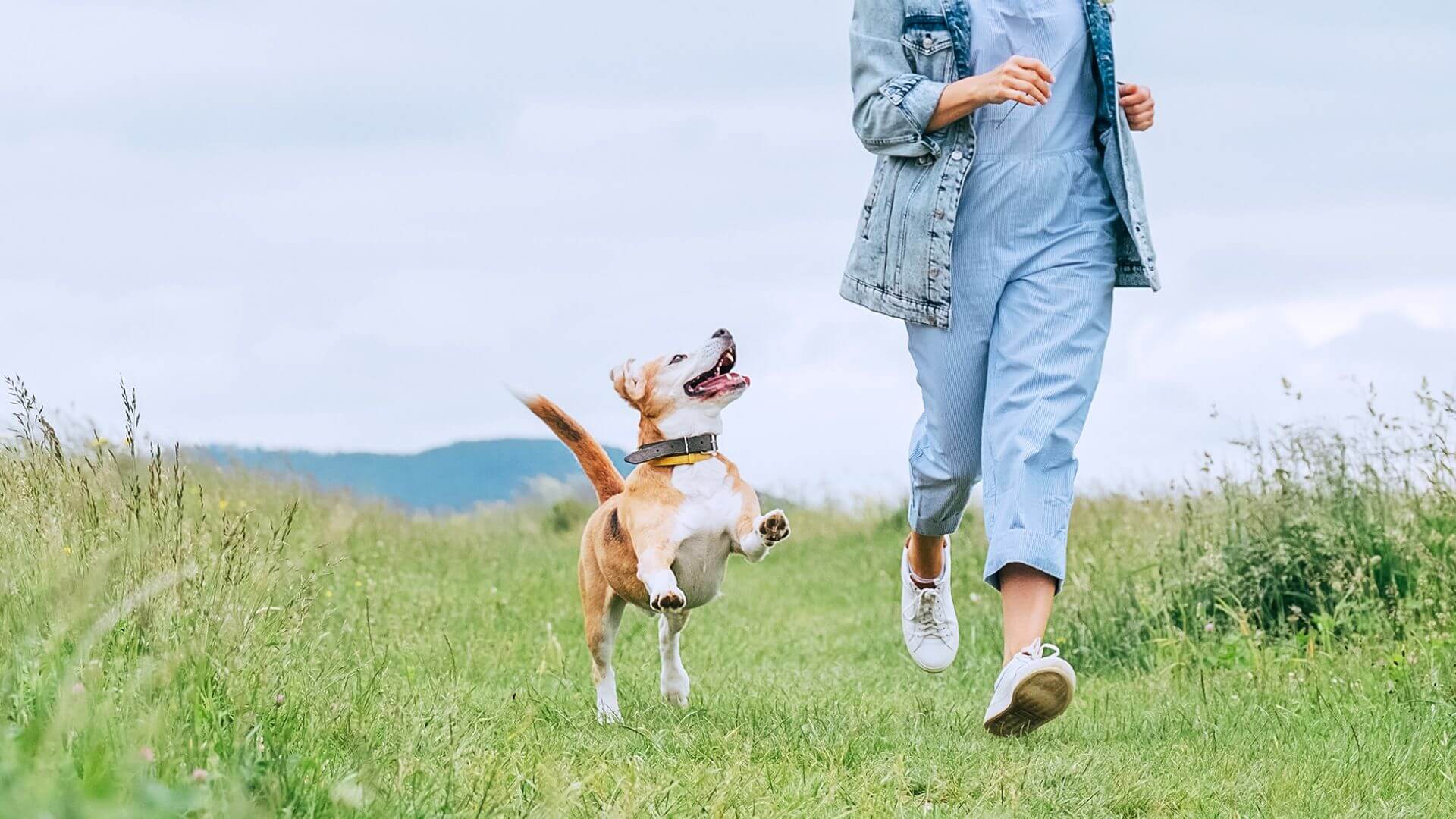 Best Vet Hospital In Huntington Beach, CA | Friendly Animal